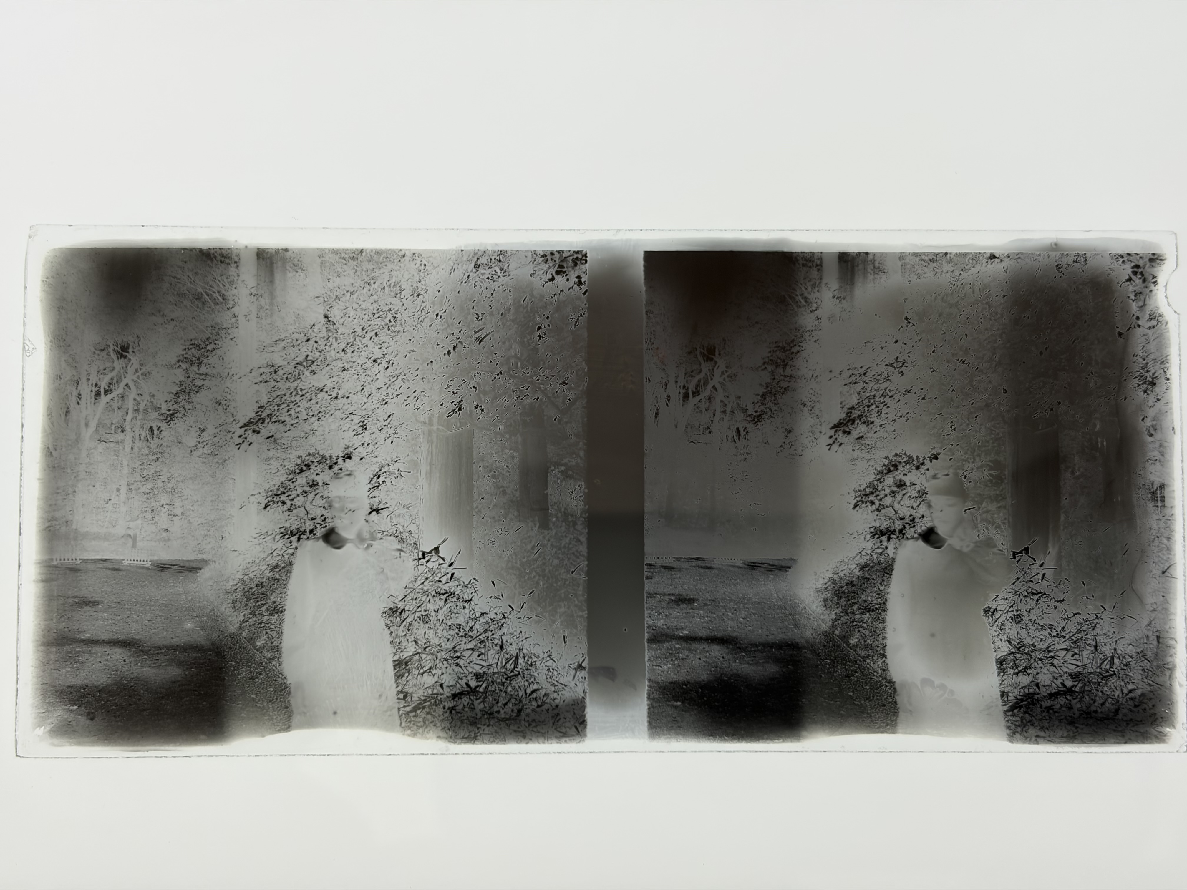 Tatsuaki-StereoWorks – Tatsuaki's Stereo Photography Studio